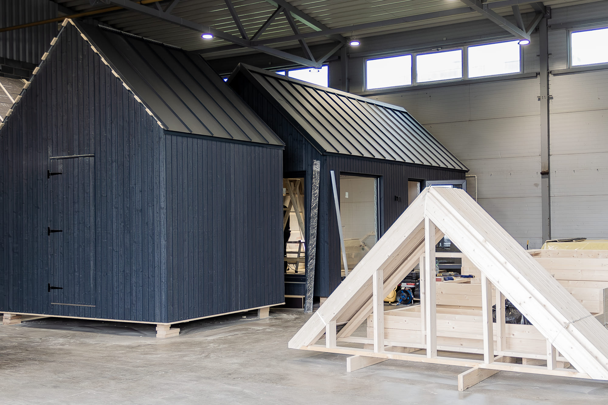 Tūjas pie jūras - LNK Properties